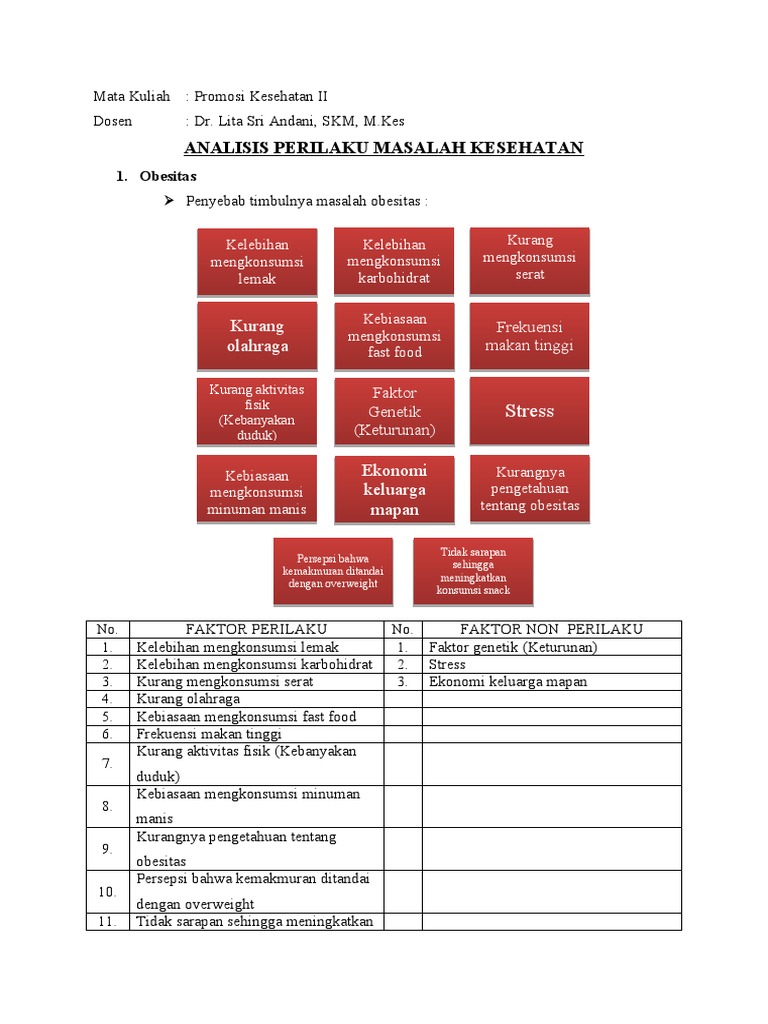 Analisis Situasi Masalah Dan Teknik Prioritas Masalah Promkes 2 | PDF