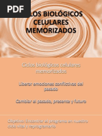 Marc Frechet | PDF | Mente inconsciente | Memoria