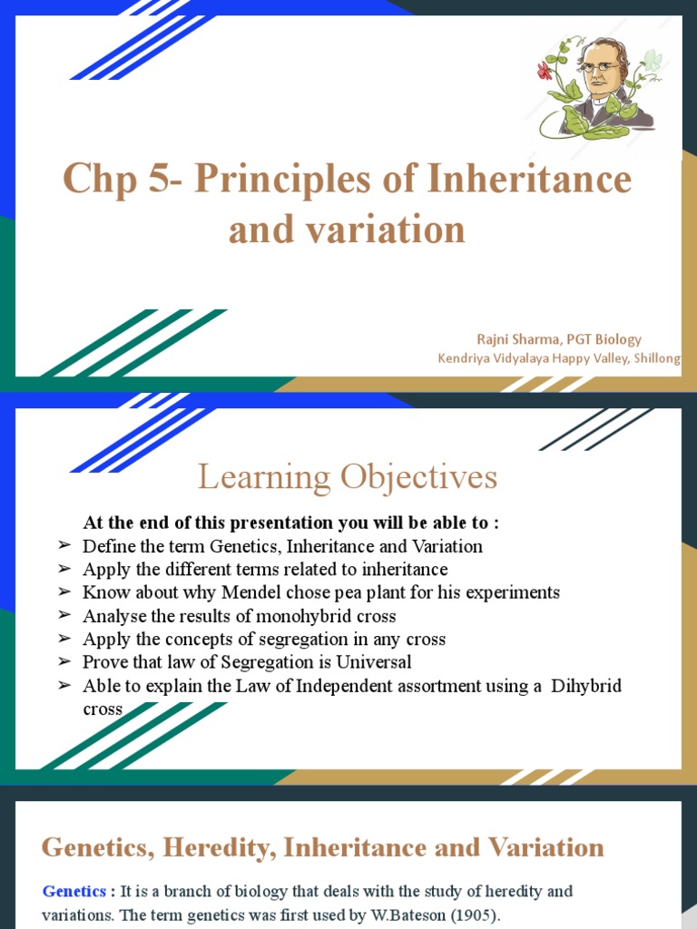 CHP 5 - Principles of Inheritance and Variation | PDF | Dominance (Genetics) | Genetic Linkage
