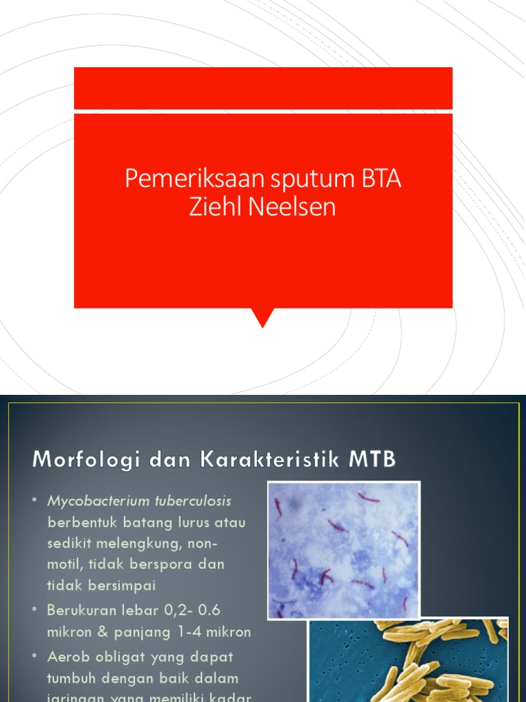 Pemeriksaan Sputum BTA | PDF