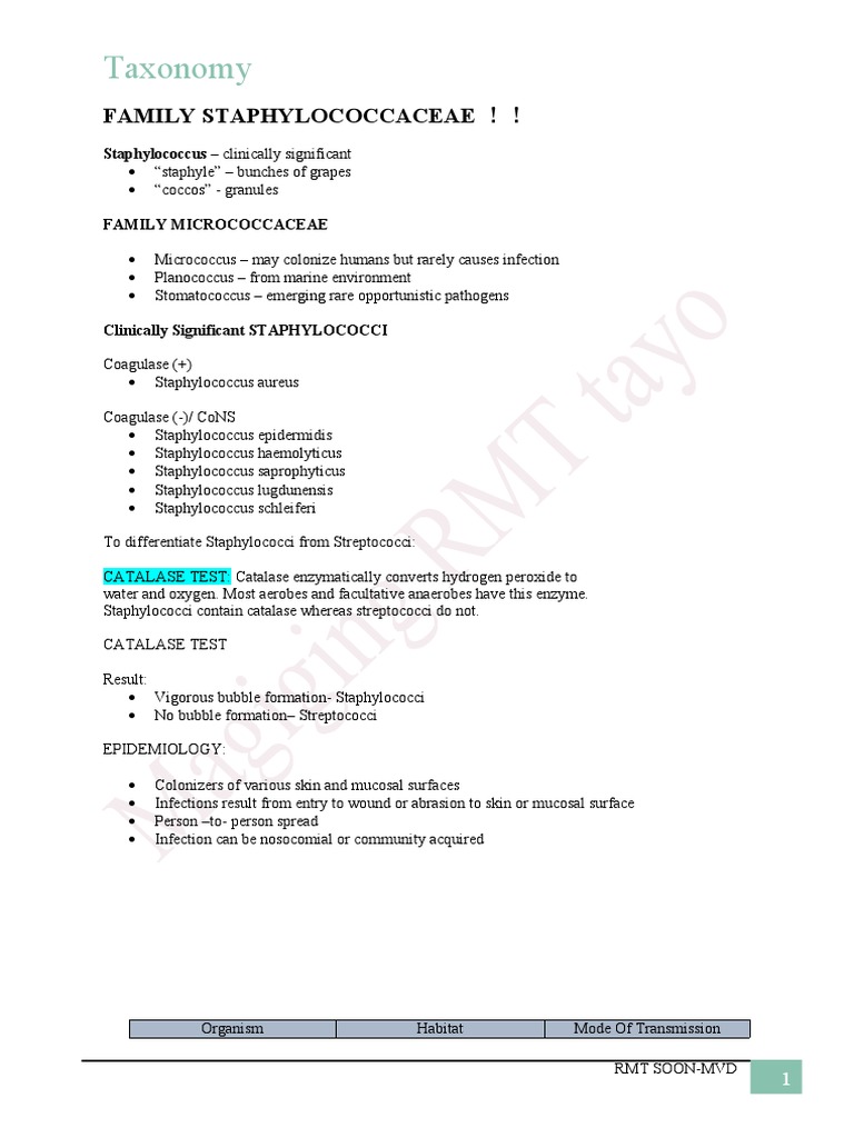 Taxonomy: Family Staphylococcaceae | PDF | Streptococcus | Staphylococcus