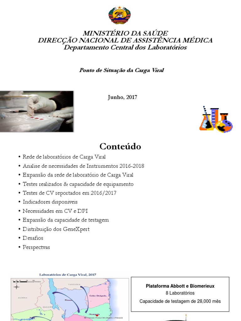 Direccao Estrategica Do MISAU - DNAM | PDF