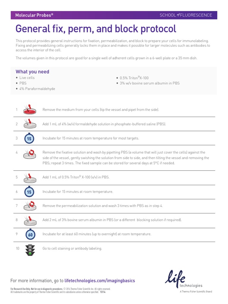 Fix Perm and Block Step by Step Protocols - D3 | PDF | Fixation ...