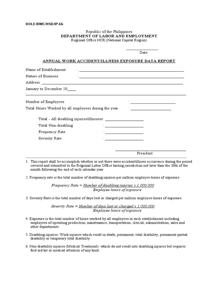 Annual Work Accident and Illness Report for [Company Name] Detailing ...