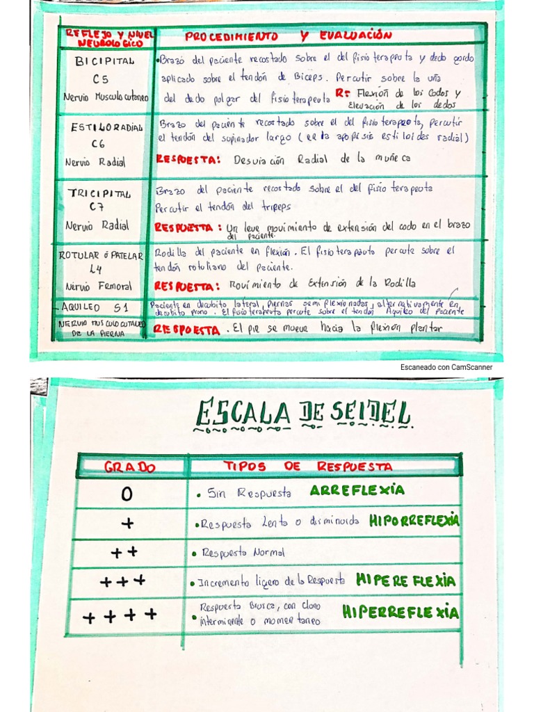 Escala de Seidel | PDF