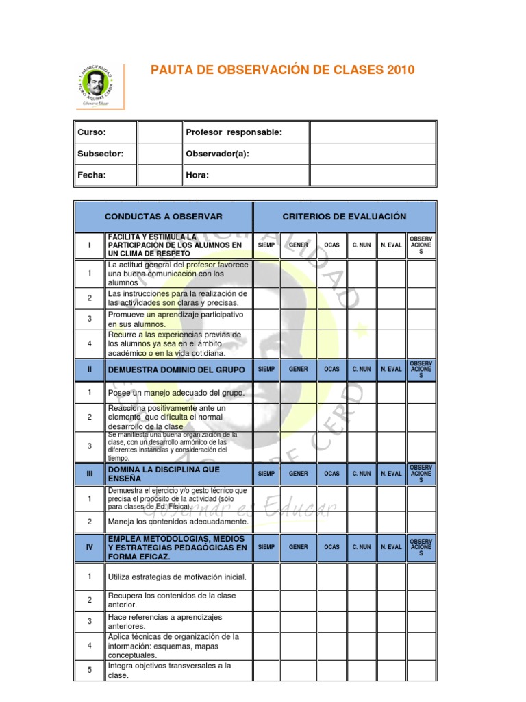 Pauta de Observación de Clases 2010 | PDF | Evaluación | Maestros