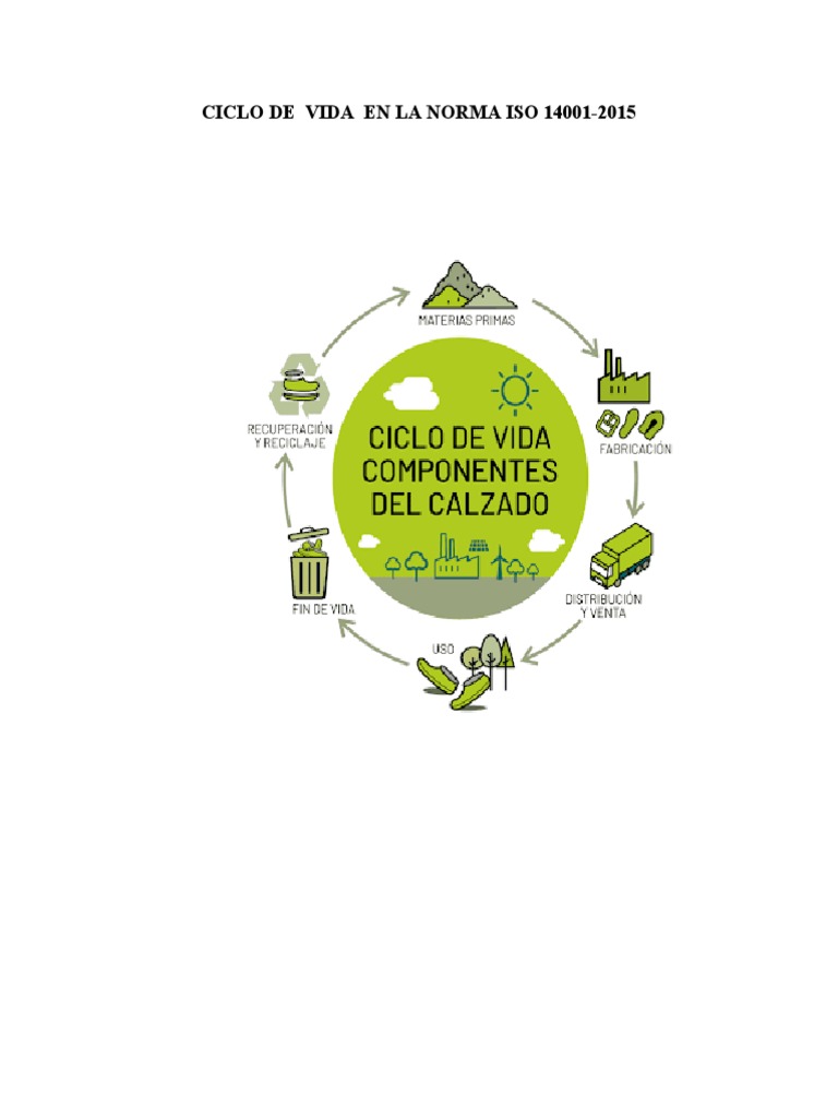 Ciclo De Vida En La Norma Iso 14001 Pdf