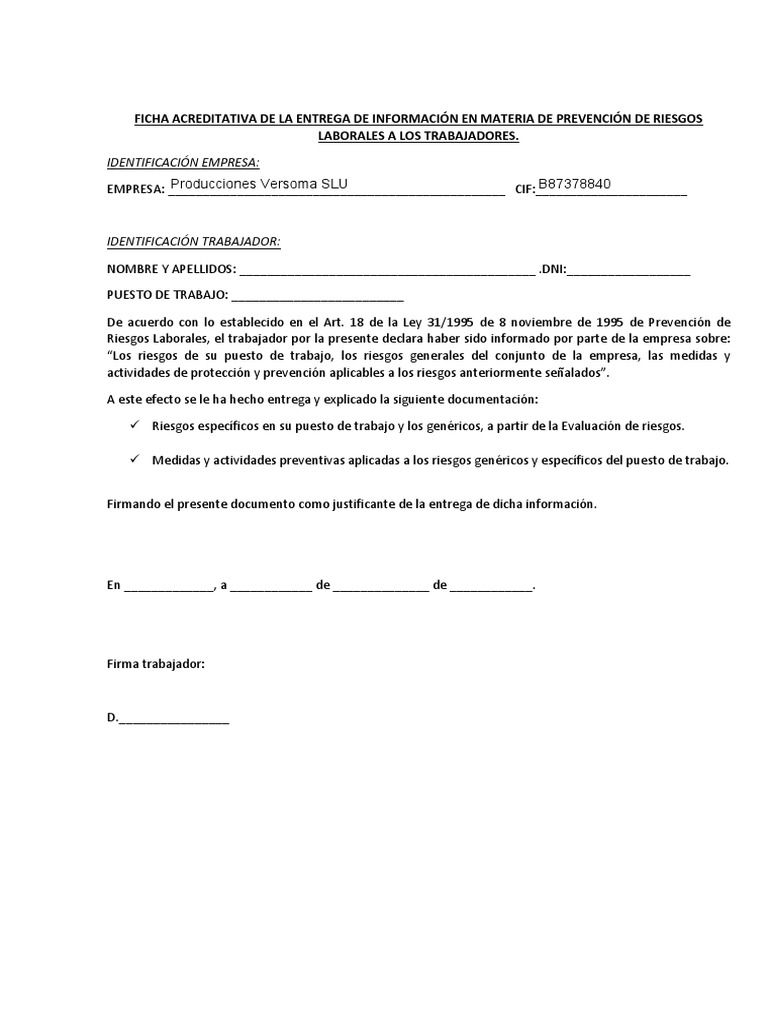 Ejemplo Entrega Info Riesgos | PDF