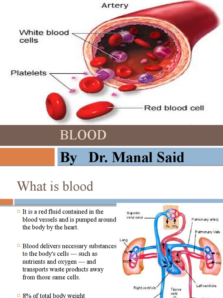 The Constituents and Functions of Blood Plasma: A Comprehensive ...