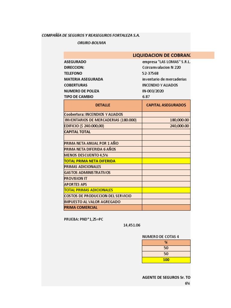 Liquidacion de Cobranza: Compañía de Seguros Y Reaseguros Fortaleza S.A. Oruro-Bolivia | PDF ...