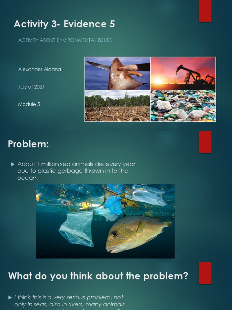 Activity 3-Evidence 5: Activity About Environmental Issues | PDF