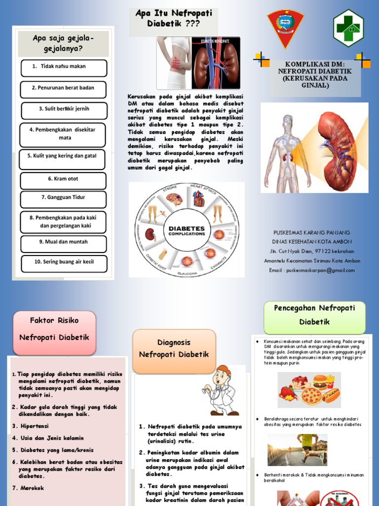 Nefropati Diabetik - Jenny Lopulisa | PDF