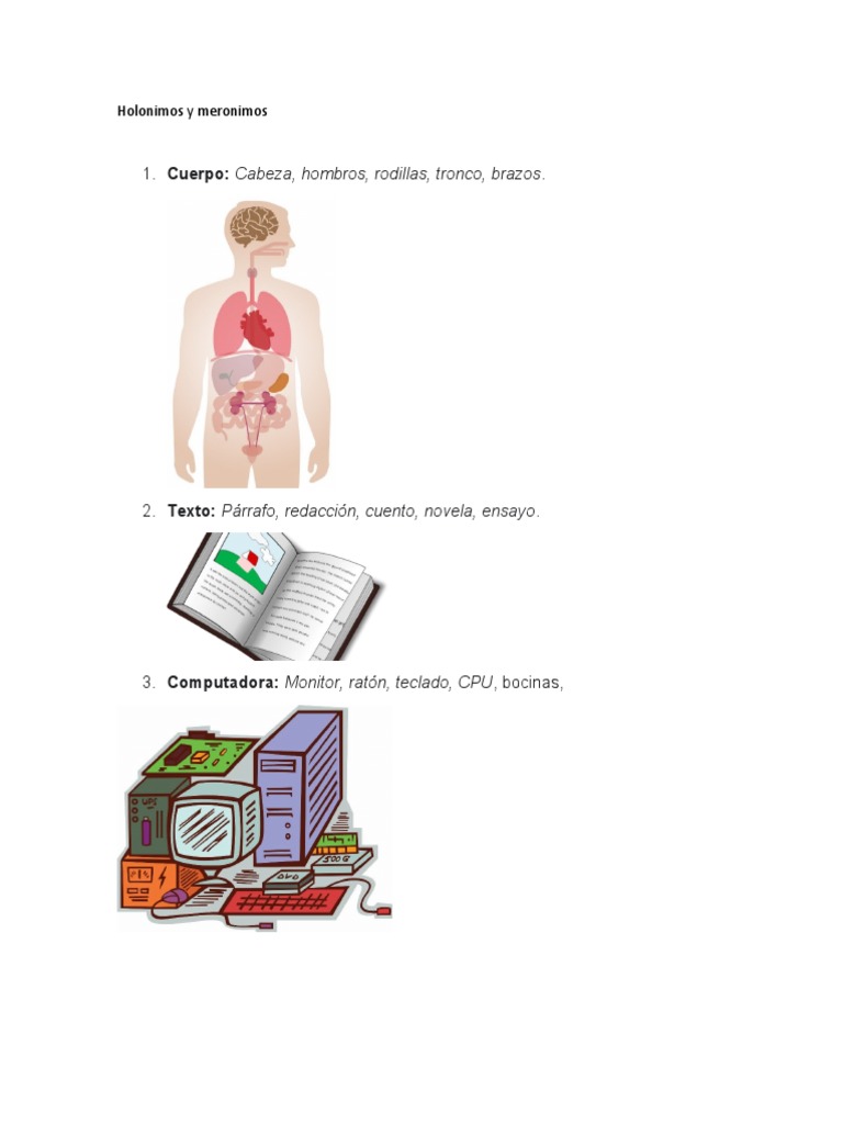 Holonimos y Meronimos | PDF