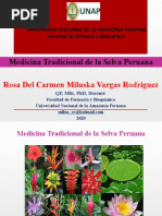 Informe 100 Plantas Medicinales Selva Peruana | PDF