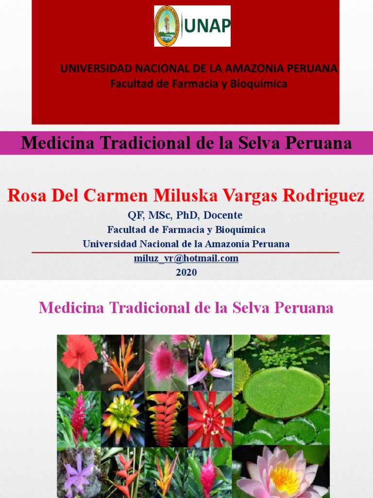 Medicina tradicional de la selva peruana: Plantas medicinales y ...