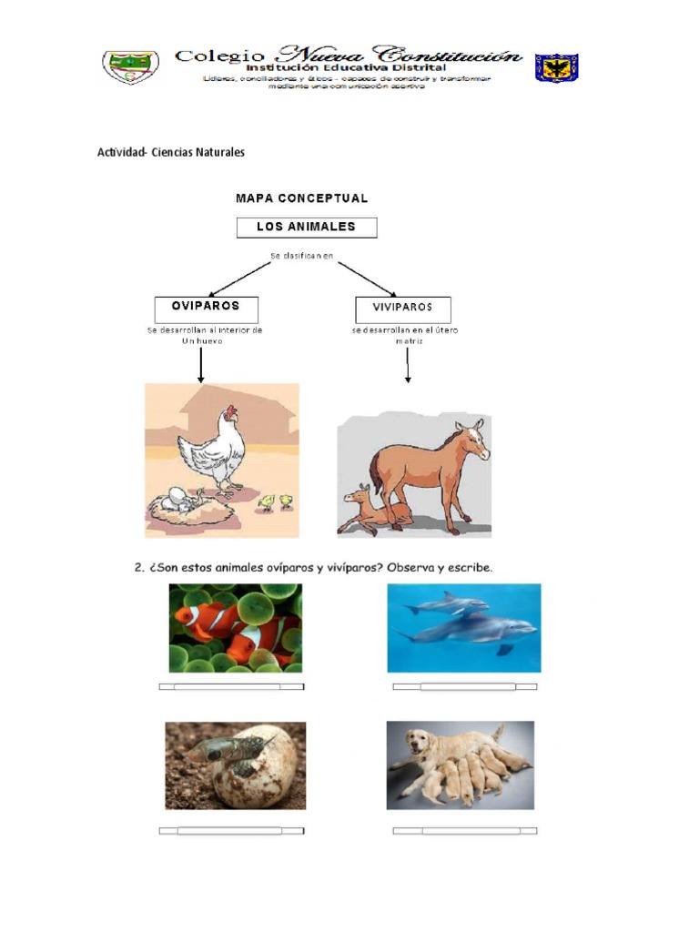 Actividad - Ciencias Naturales. Oviparos-Viviparos | PDF | Hogar ...