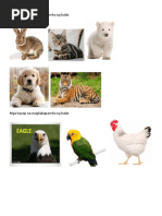 Kalmot NG Pusa First Aid Smart Parenting | PDF