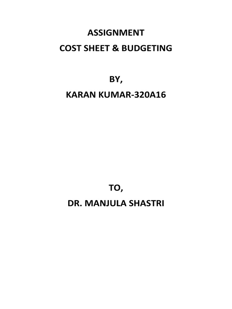 Assignment Cost Sheet & Budgeting | PDF | Cost Of Goods Sold | Expense