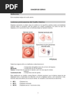 Clasificación de Bethesda de La Citología Cervical | PDF | Cáncer ...