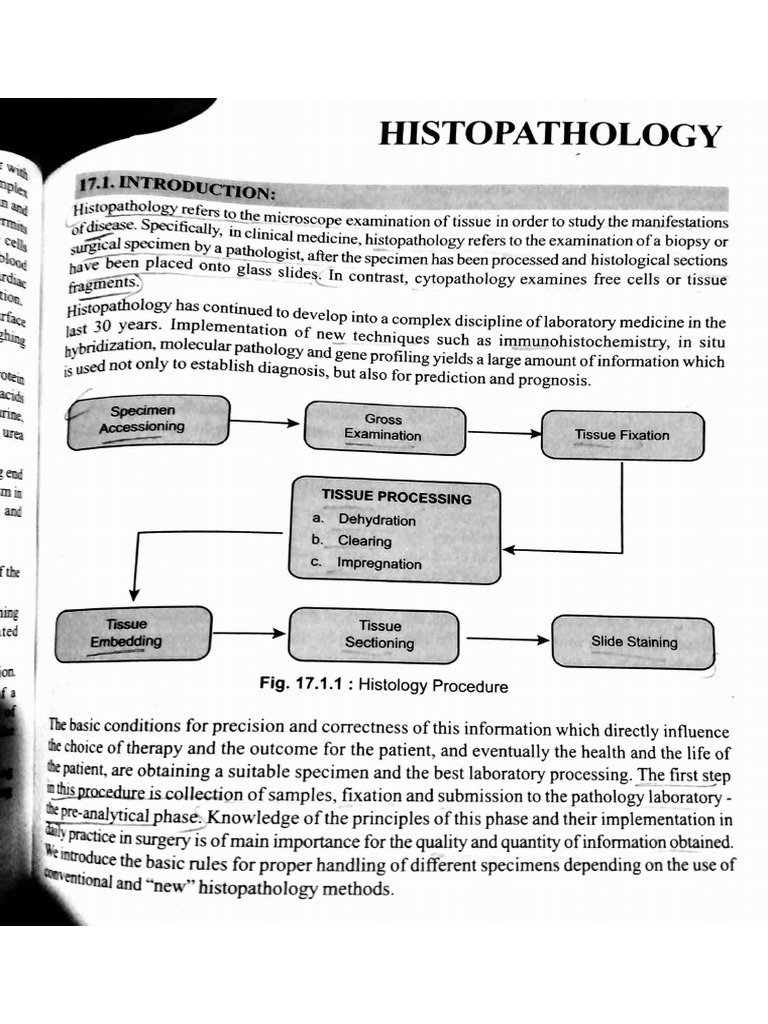 Histopathology Notes | PDF