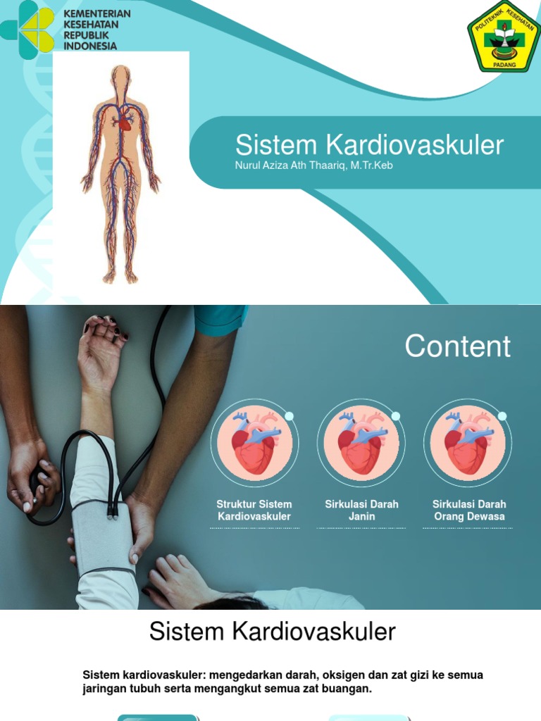 Struktur dan Fungsi Sistem Kardiovaskuler | PDF