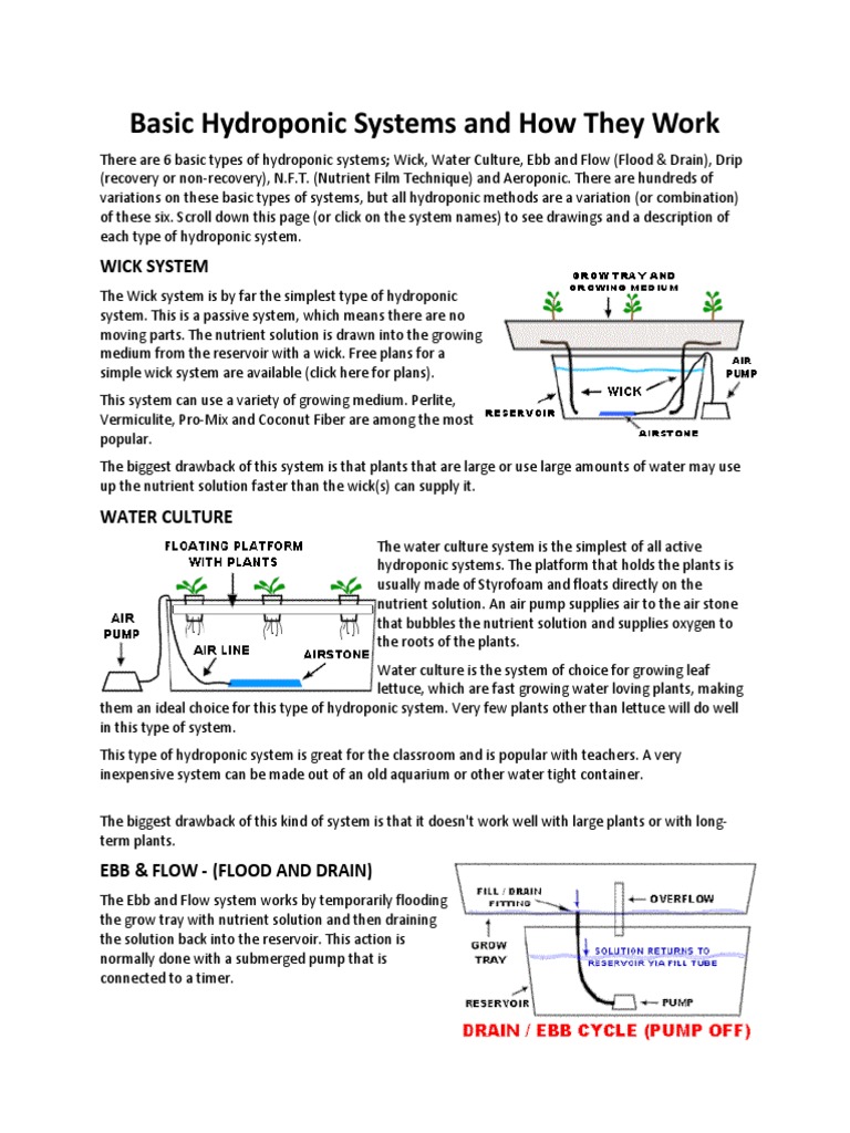 Types of Hydroponic Systems Explained | PDF | Hydroponics | Agriculture