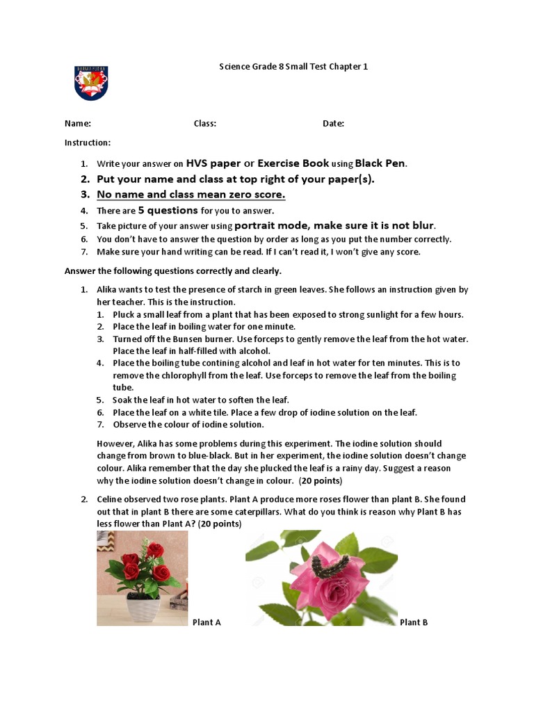 Science Grade 8 Small Test Chapter 1 A | PDF | Plants | Flowers