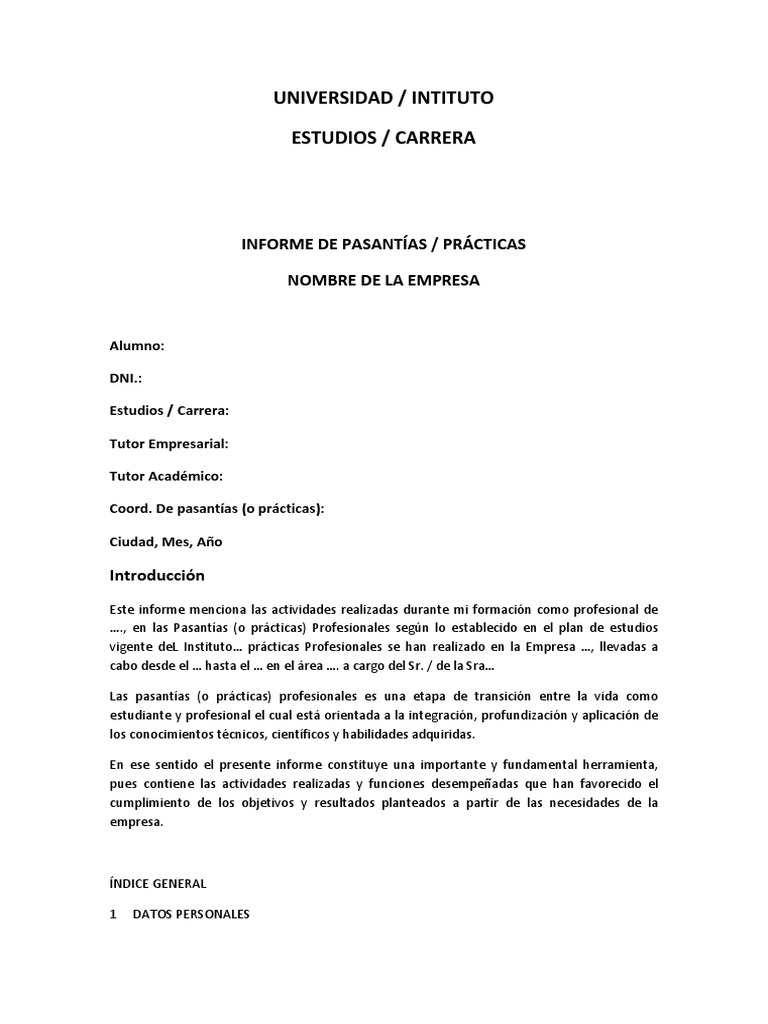 Modelo de Informe Practica Profesionalizante | PDF | Aprendizaje