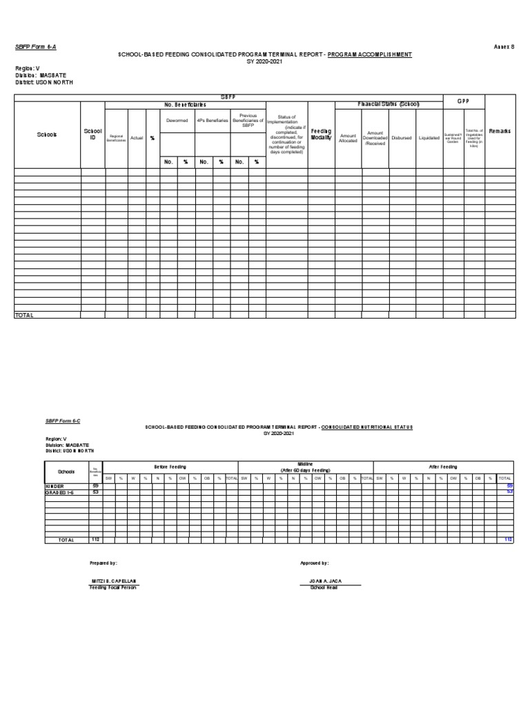 School-Based Feeding Consolidated Program Terminal Report - Program ...