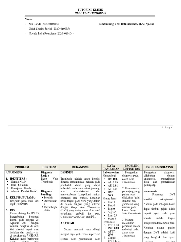 Tutklin DVT NRG | PDF