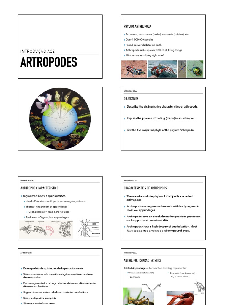 AD14 Arthropoda - Key | PDF | Crustacean | Arthropods