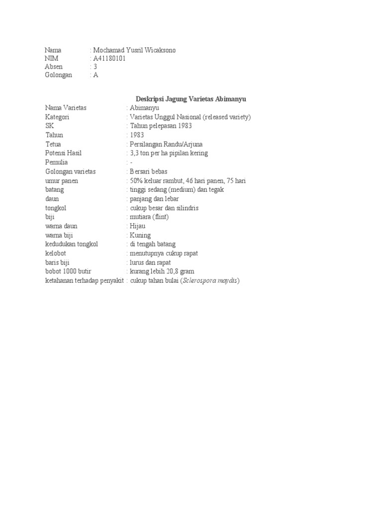 Deskripsi Varietas Jagung Abimanyu | PDF