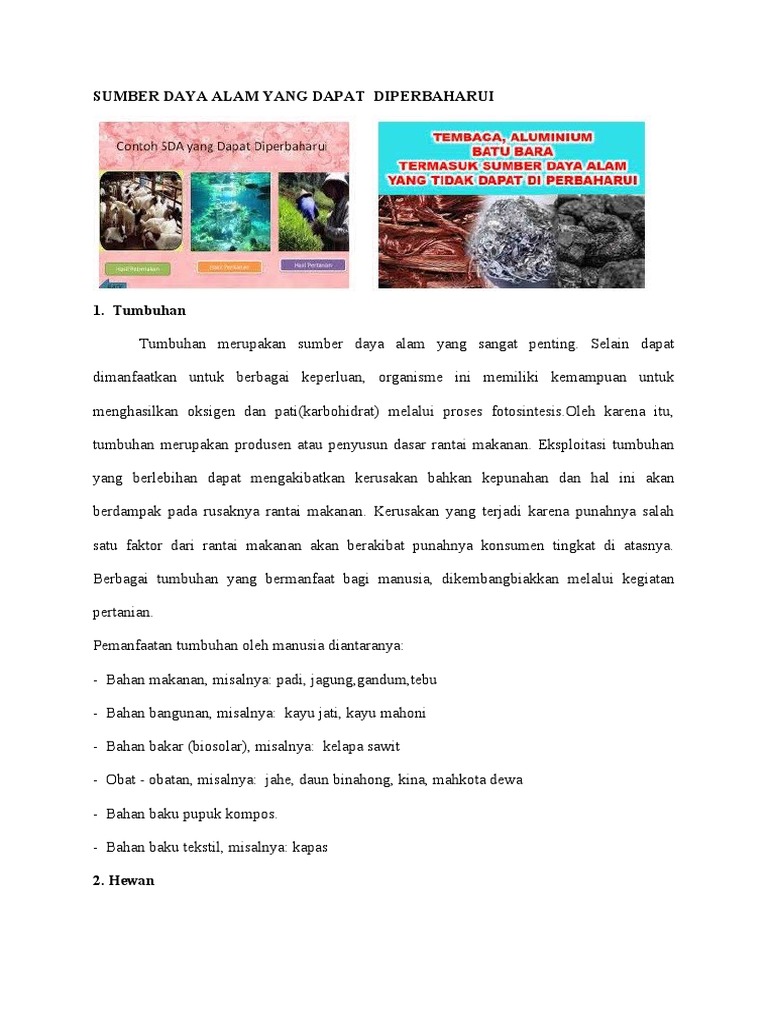 Jenis Sumber Daya Alam Terbarukan | PDF