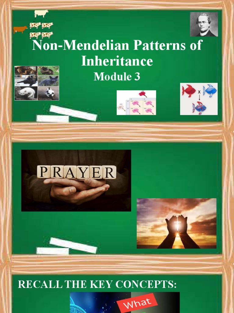 Non Mendelian Patterns of Inheritance | PDF | Dominance (Genetics ...