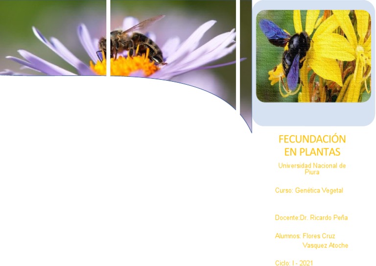 Fecundación en Plantas: Genética Vegetal | PDF