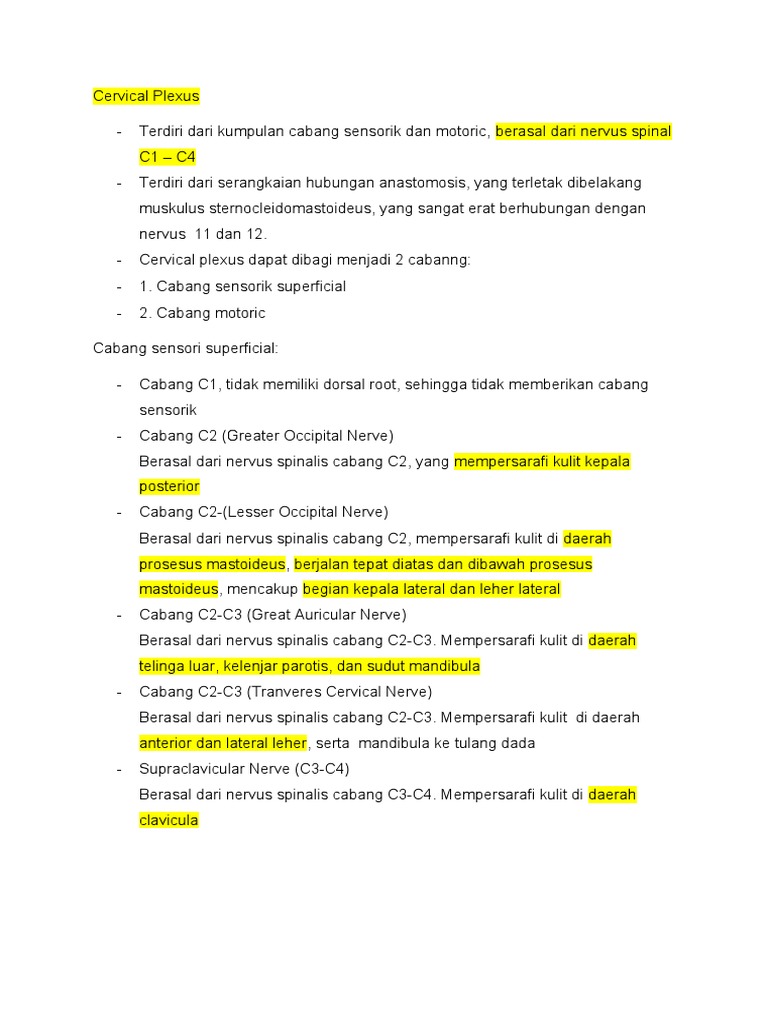 Struktur dan Fungsi Plexus Cervicalis | PDF | Sains & Matematika