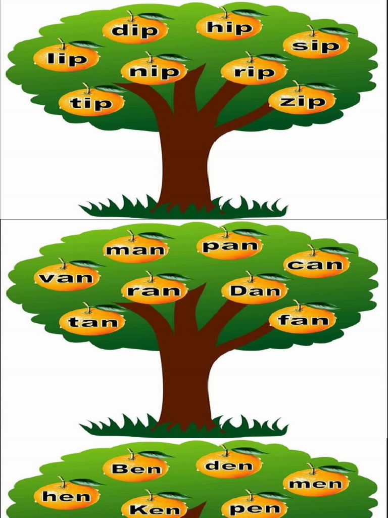 English - Reading Grade 1-A | PDF