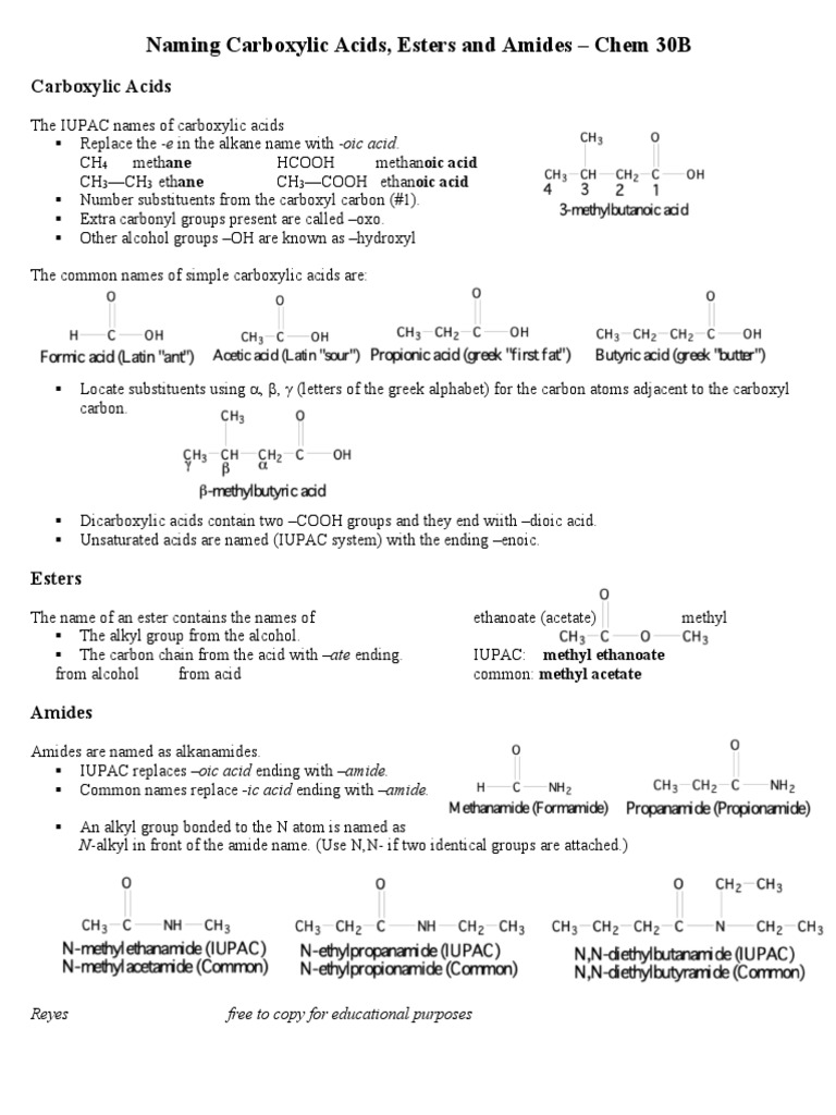 Naming CAs Esters and Amides Rules | PDF