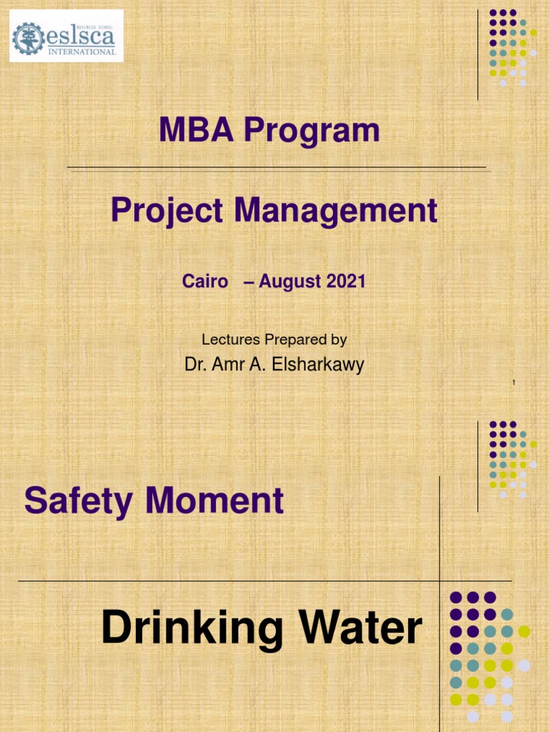 Project Scope Management Overview | PDF | Project Management | Goal