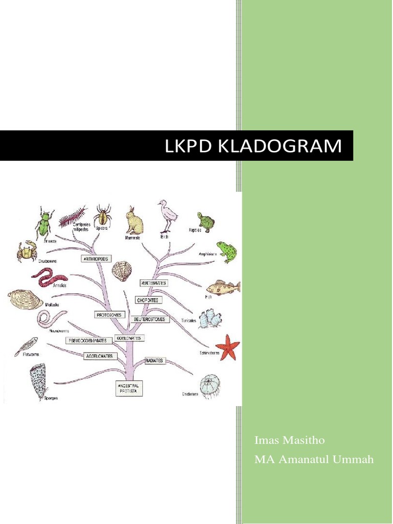 LKPD Kladogram Kelas 10: Klasifikasi Makhluk Hidup | PDF | Kajian ...