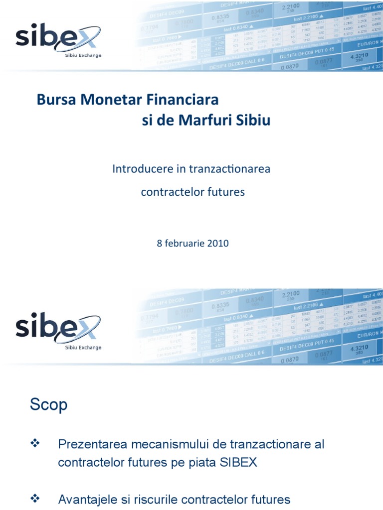 Bursa Monetar Financiara Si de Marfuri Sibiu: Introducere in ...