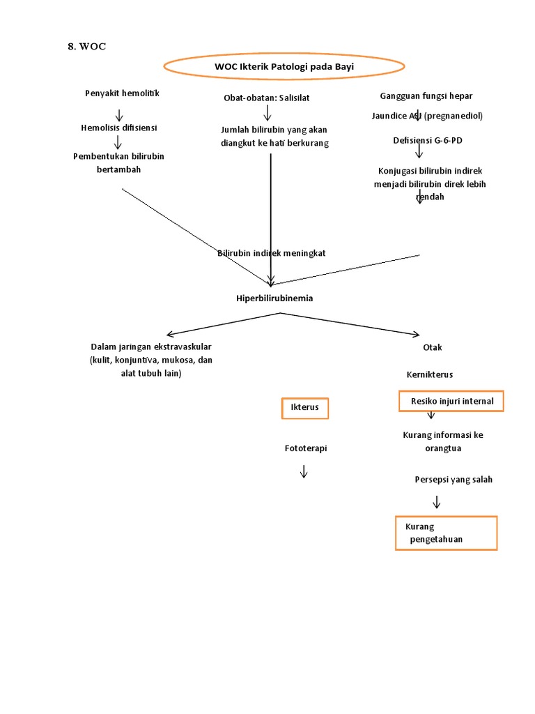 Toaz - Info Woc Ikterus Neonatus PR | PDF