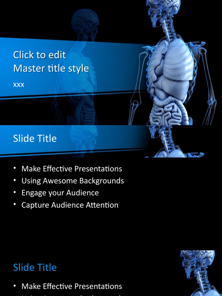 Anatomical Template 16x9 | PDF