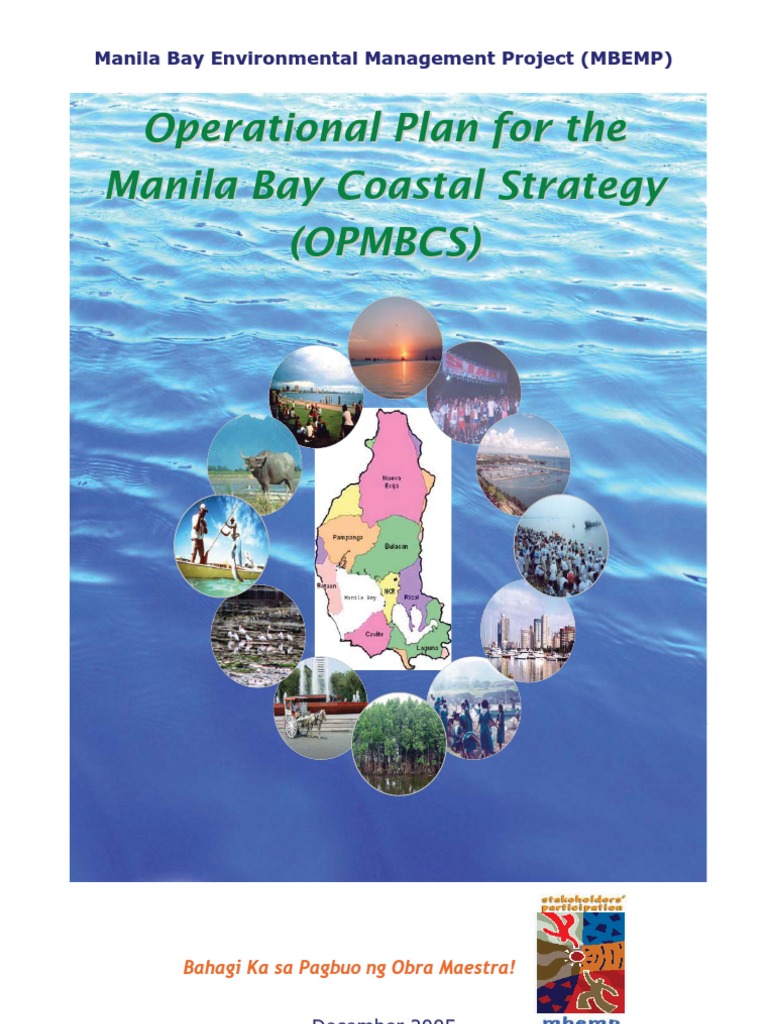 Manila Bay Coastal Strategy Plan | PDF | Risk Management | Risk Assessment