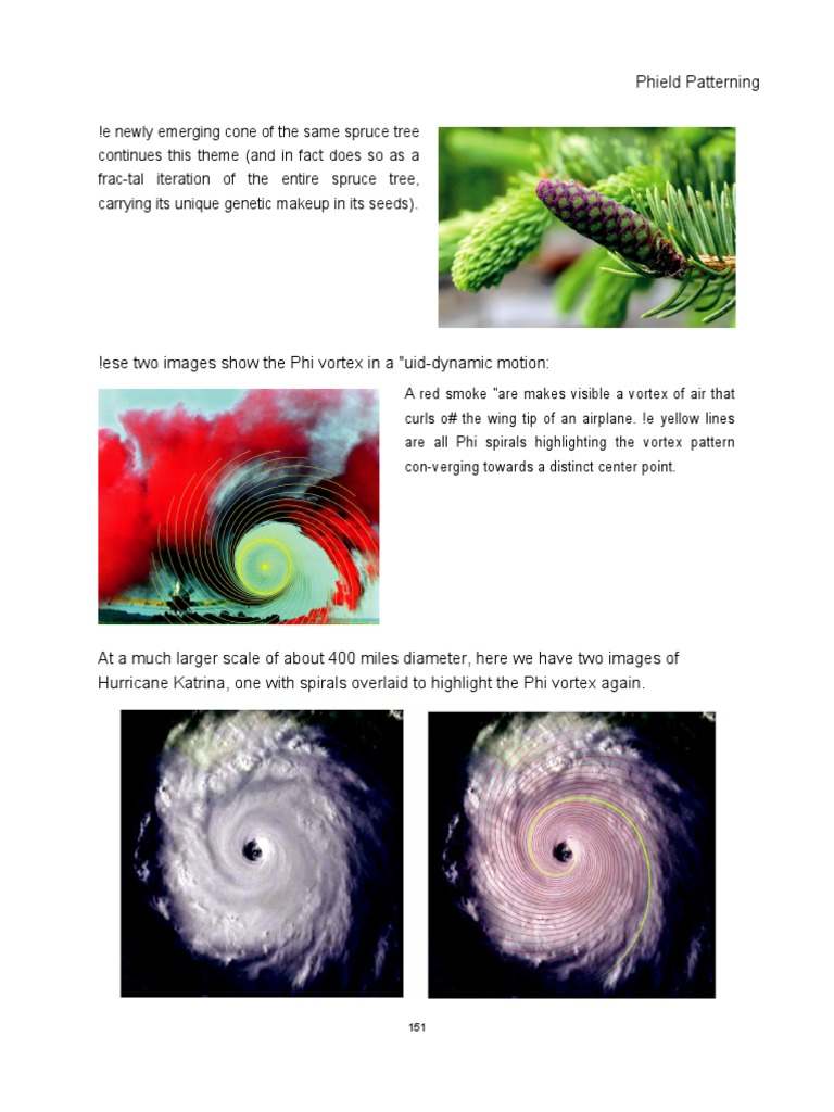 1 - 1 - Torus Field and Geometry 6a2 PDF | PDF | Vortices | Pattern