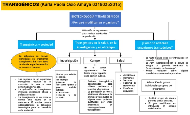 Mapa Conceptual Transgénicos | PDF | Organismo genéticamente modificado | Biología Molecular