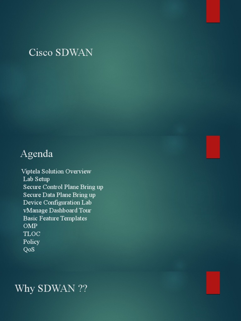 Viptela SDWAN | PDF | Computer Network | Router (Computing)