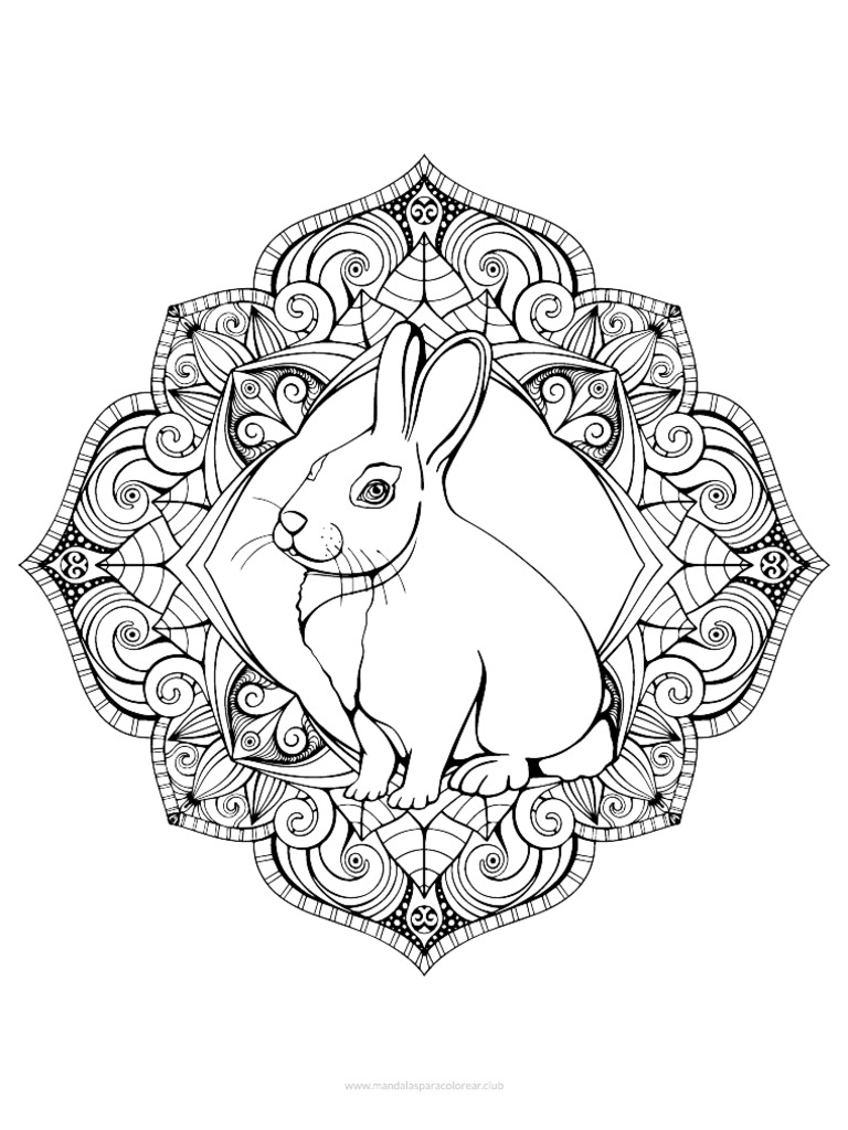 Mandala Conejo Imprimible | PDF