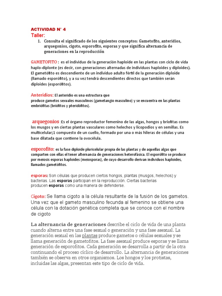 8°actividad Sobre Musgos y Helechos | PDF | Espora | Plantas