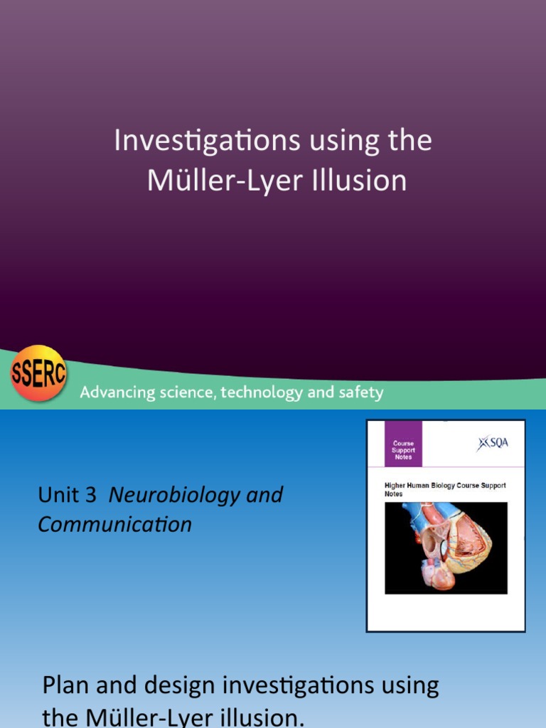 Investigations Using The Müller-Lyer Illusion | PDF | Student's T Test ...